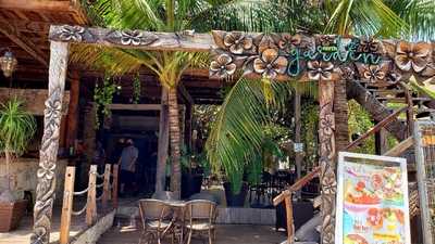 North Garden, México