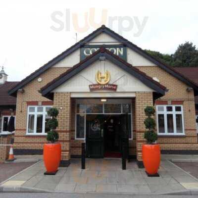 Cotton Kier, Hungry Horse, United Kingdom